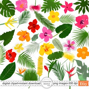 Tropical Flower Clip Art, Summer Clip Art, Watercolor Floral Clipart ...
