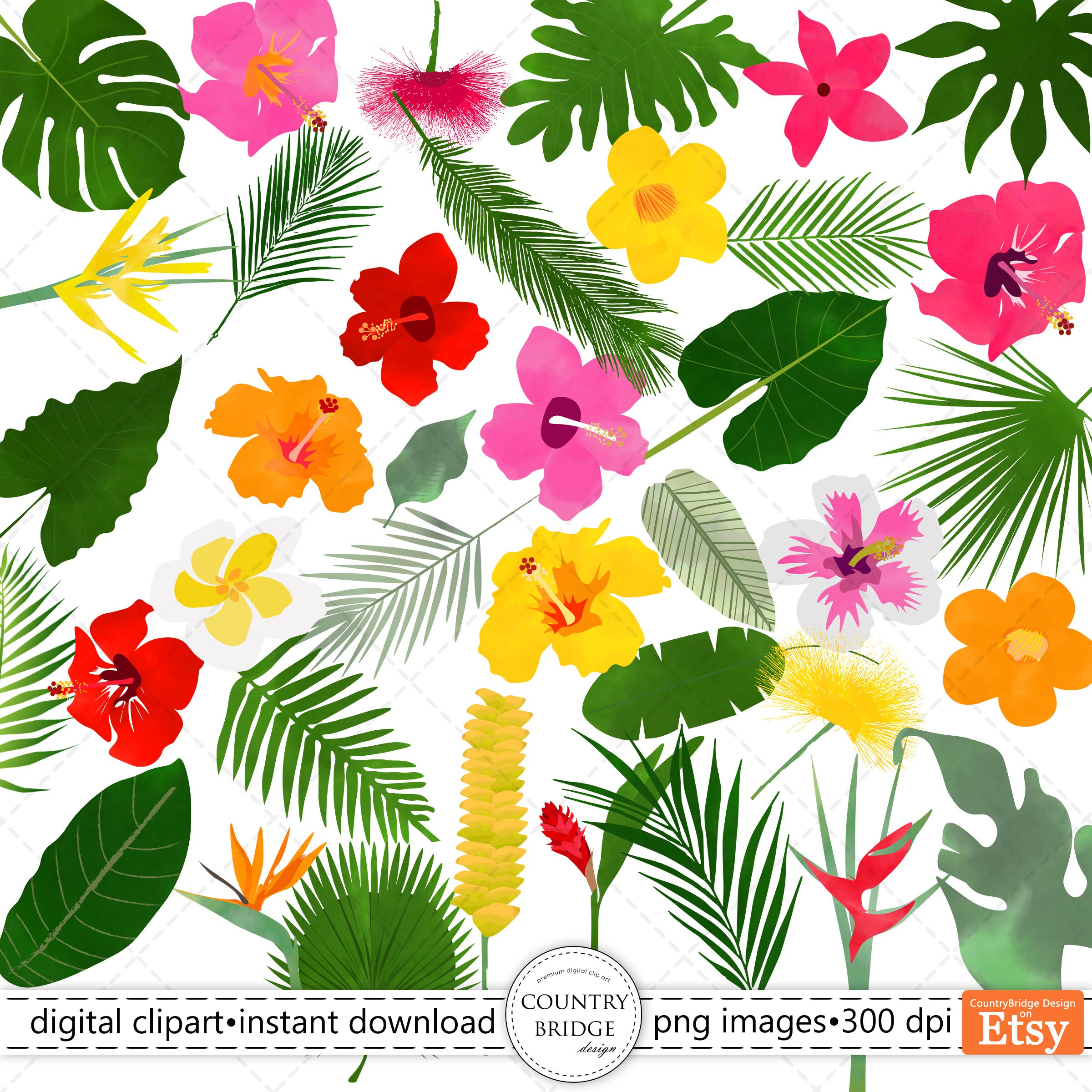 Tropical Flower Clip Art Summer Clip Art Watercolor Floral | Etsy