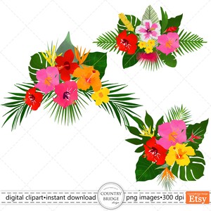Tropical Flower Clip Art, Summer Clip Art, Watercolor Floral Clipart ...