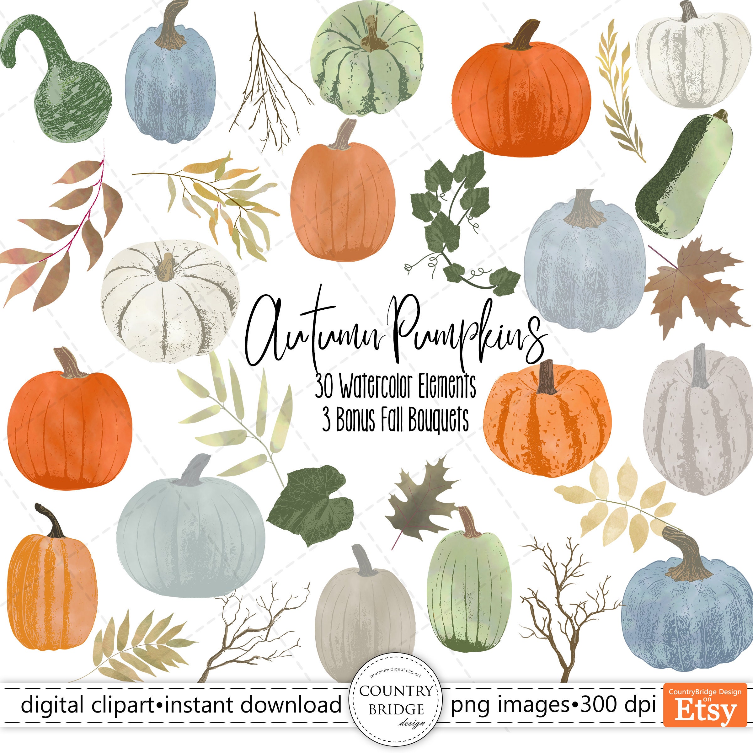 Pumpkin Clip Art Watercolor Fall Clipart Fall Pumpkins - Etsy