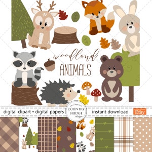 Woodland Animal Clipart & Digital Paper Bundle, Forest Animal PNG ...