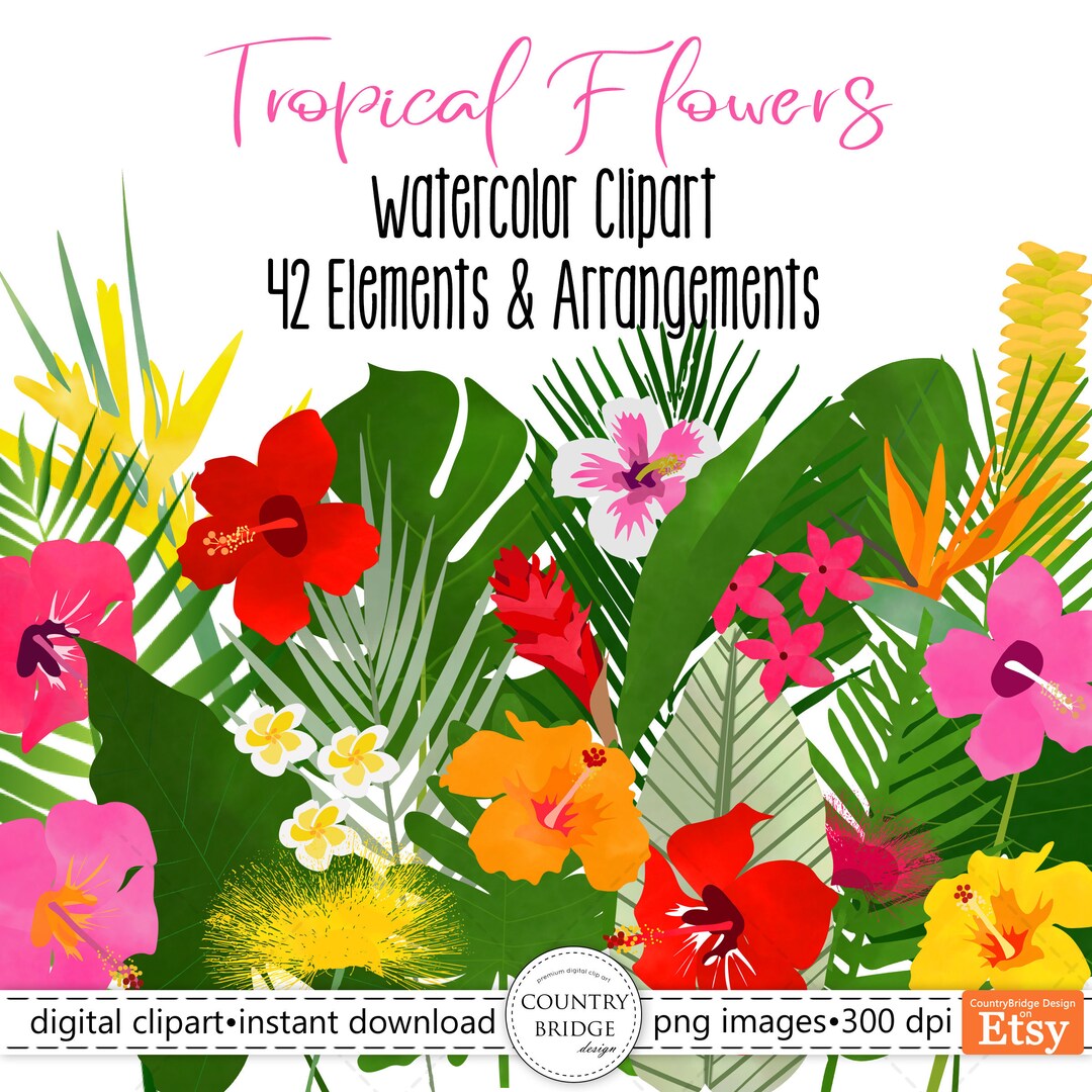 Tropical Flower Clip Art, Summer Clip Art, Watercolor Floral Clipart ...