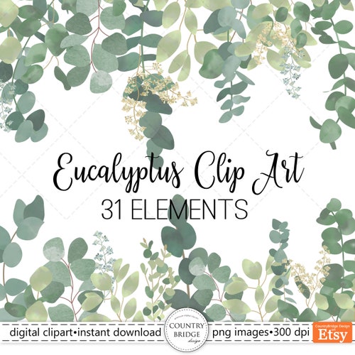 Watercolor Greenery Clipart Green Eucalyptus Foliage Clip - Etsy