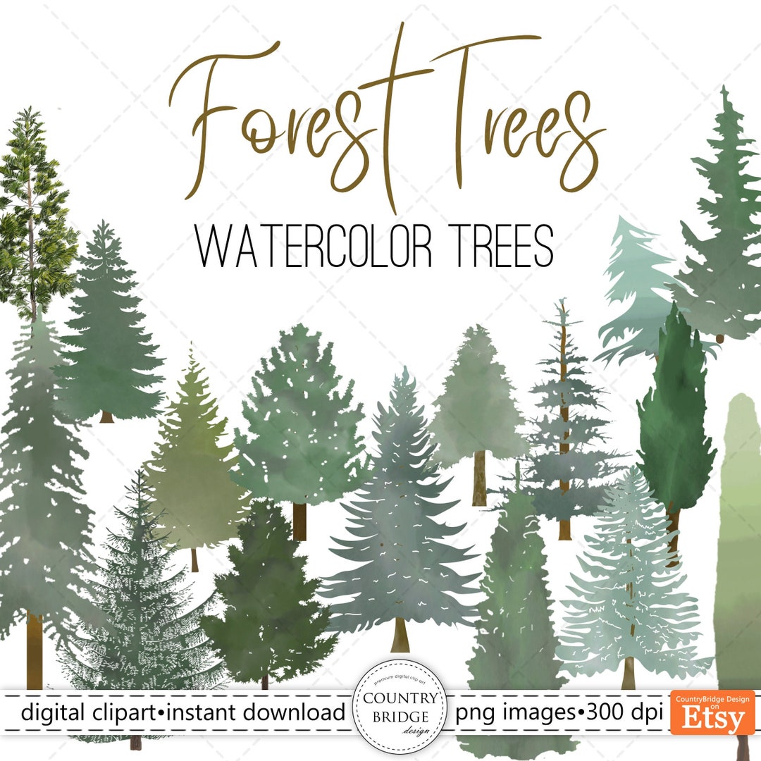 Forest Watercolor Clipart, Watercolor Pine Tree Clip Art, Commercial ...