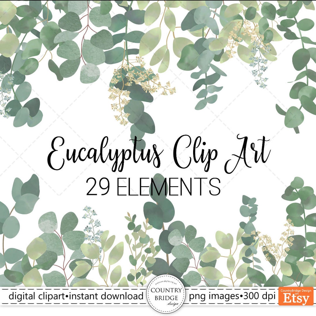 Eucalyptus Leaves Clip Art