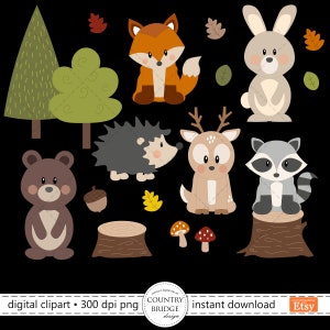 Woodland Animals Clipart, Forest Animals PNG, Cute Bear Bunny Fox ...