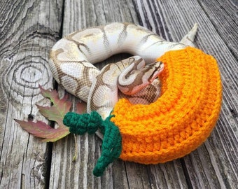 Pumpkin Snake Costume - Etsy
