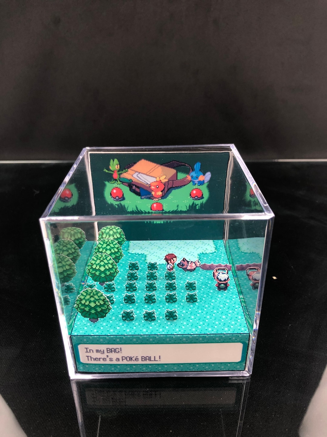 Pokémon 3D Box - Pokemon Emerald Starter Cube - 3D Art Box - Choose ...