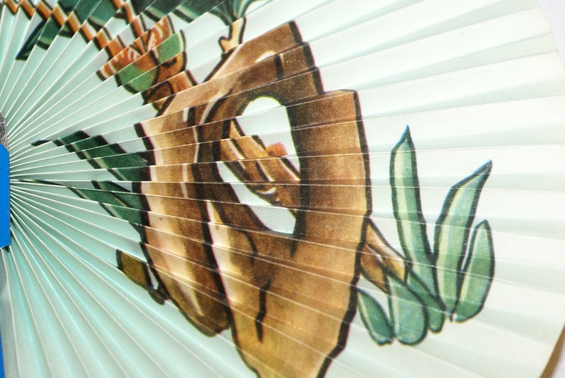 Pair of Chinese Hand Held Fans - One Paper Fan the Other a Plastic Fan ...