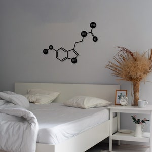 Melatonin Metal Wall Art Decor, Sleep Molecule Wall Hanger, Biology ...