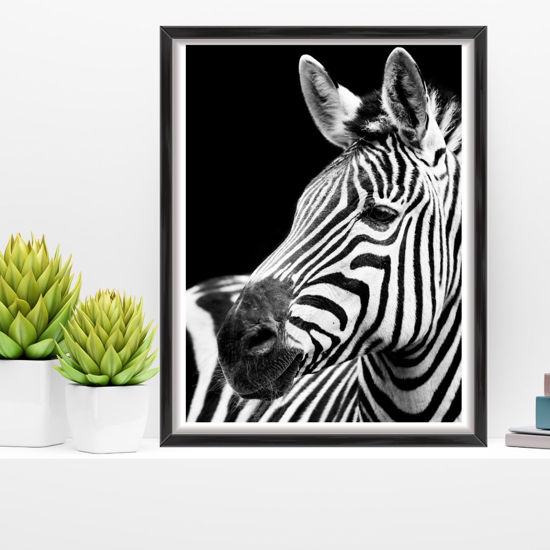 Zebra Druck, schwarz weiß Druck, Animal Print, Print, Poster, Wand Kunst Wohnkultur - Etsy.de