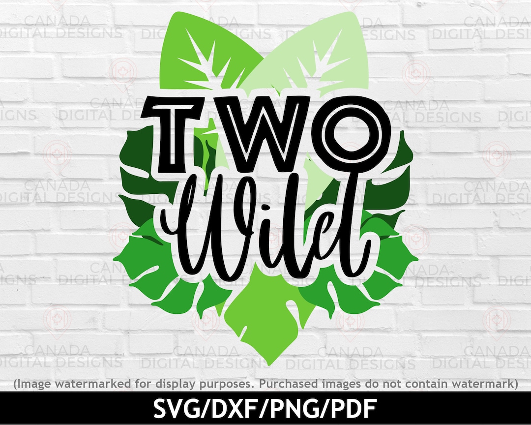 Two Wild Svg, Jungle Theme Birthday Design, 2nd Birthday Svg, Second ...