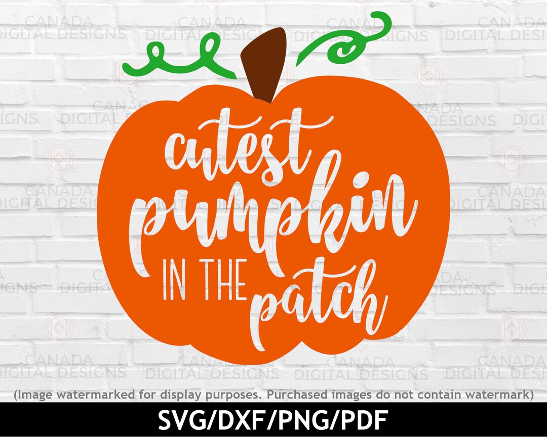 Cutest Pumpkin in the Patch Svg, Thanksgiving Svg, Kids Halloween Svg ...
