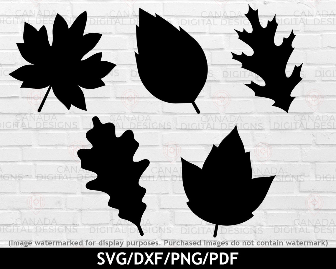 Fall Leaves Svg Bundle Leaf Silhouette Vector Autumn Svg - Etsy