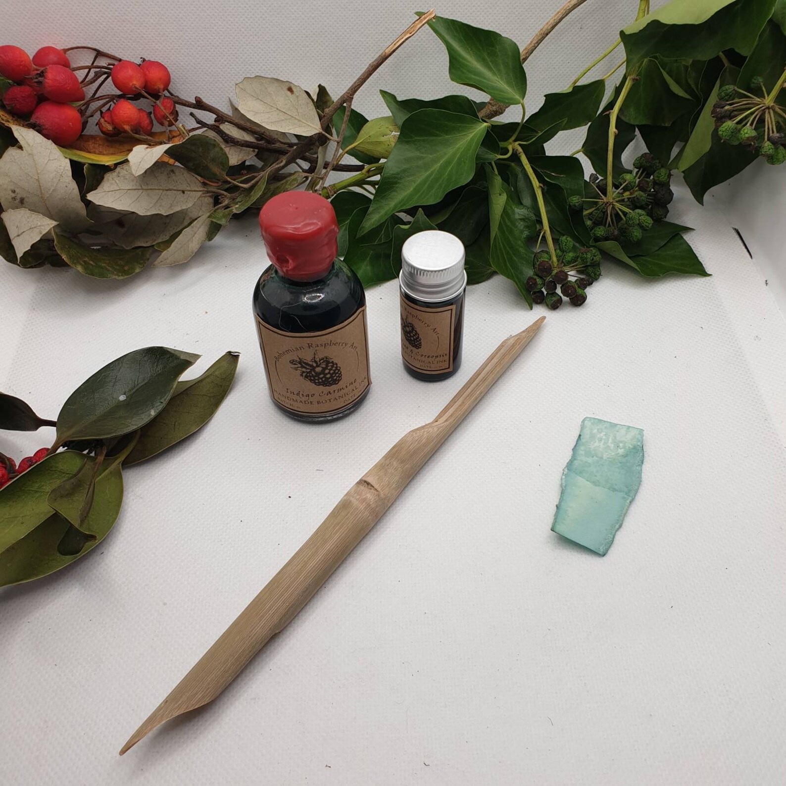 Bamboo Reed Dip Pens for Use With Botanical Inks Sketching | Etsy