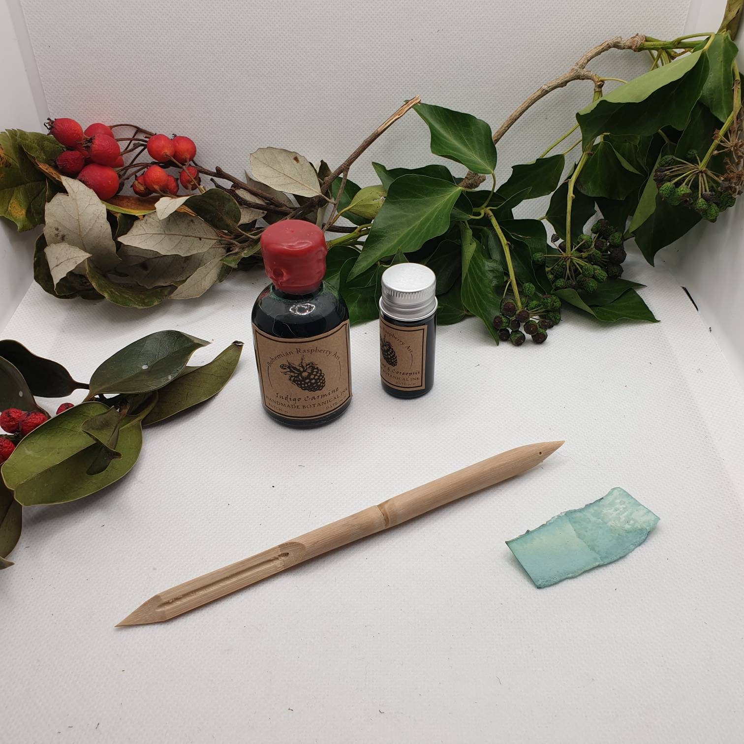 Bamboo Reed Dip Pens for Use With Botanical Inks Sketching | Etsy