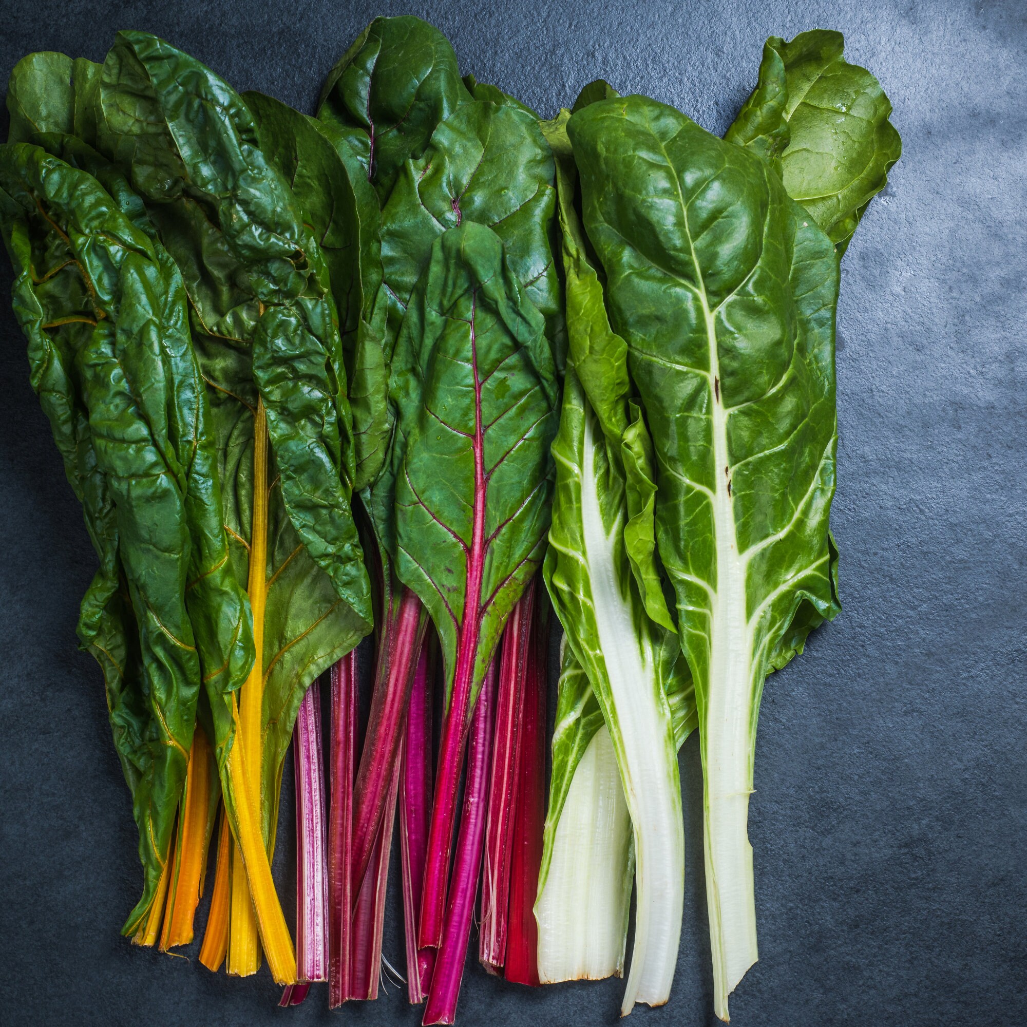 Swiss Chard Variety Organic Seeds Fruit Herbs and | Etsy