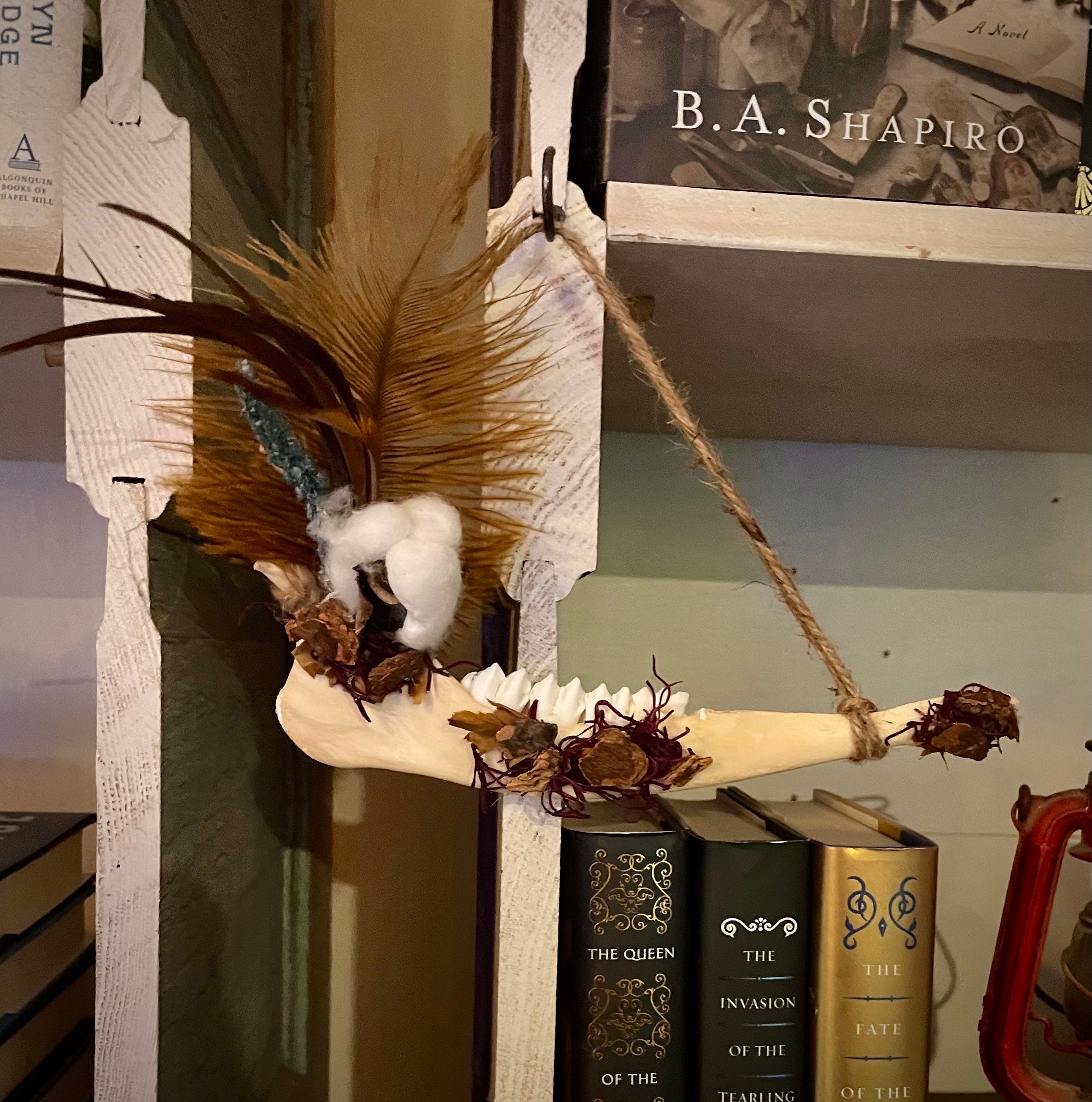 Deer Jaw Feather Wreath Bone Jawbone Oddity Curio - Etsy