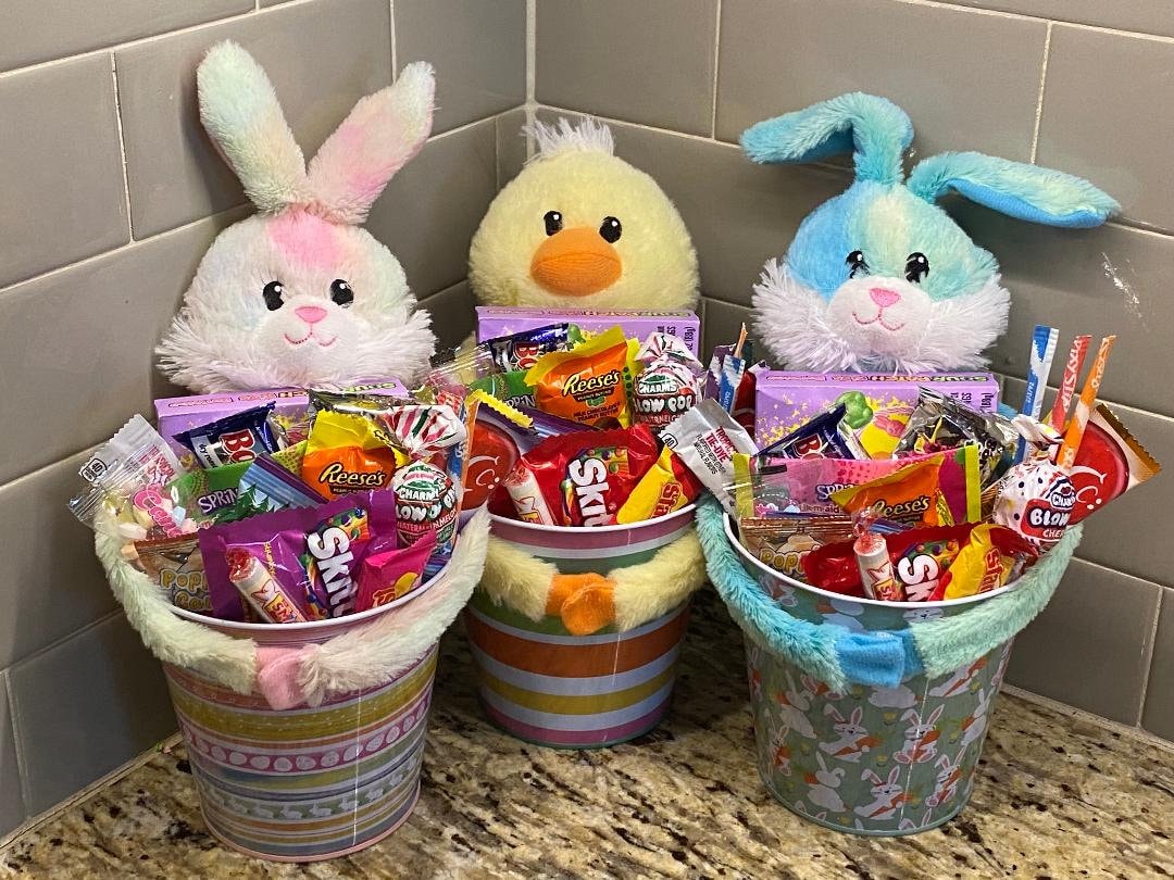 Assorted Easter Candy Pail W/animal - Etsy