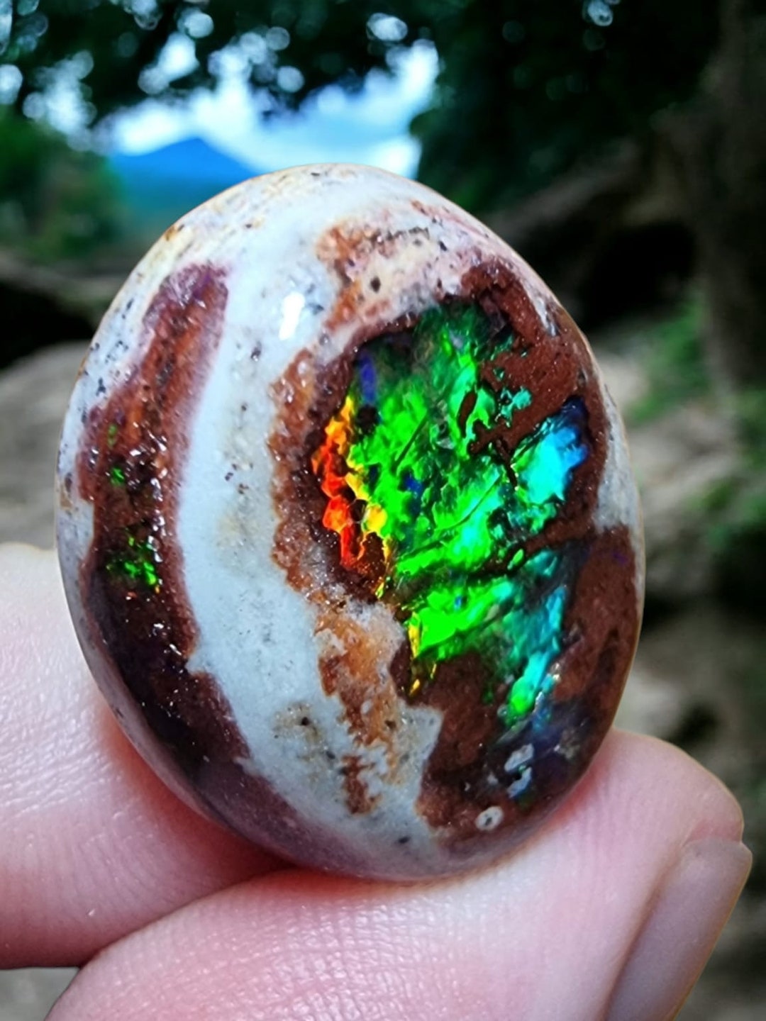 Huge Showcase Mexican Cantera Fire Opal - A 28ct Collectable Gem With 5 ...
