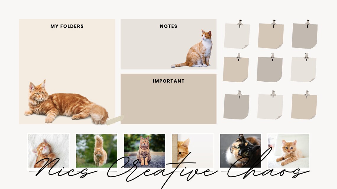 Desktop Organizer Cats Wallpaper | Space for Apps Icons Folders Notes ...