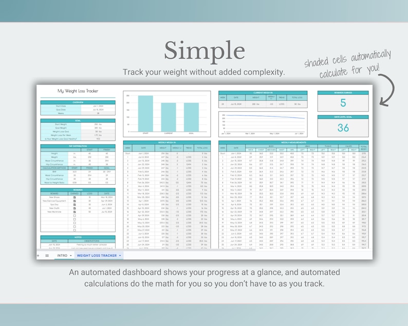 Weight Loss Tracker Spreadsheet, Google Sheets Fitness Planner Template ...