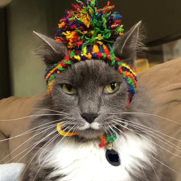 Rainbow Cat Hat - Etsy