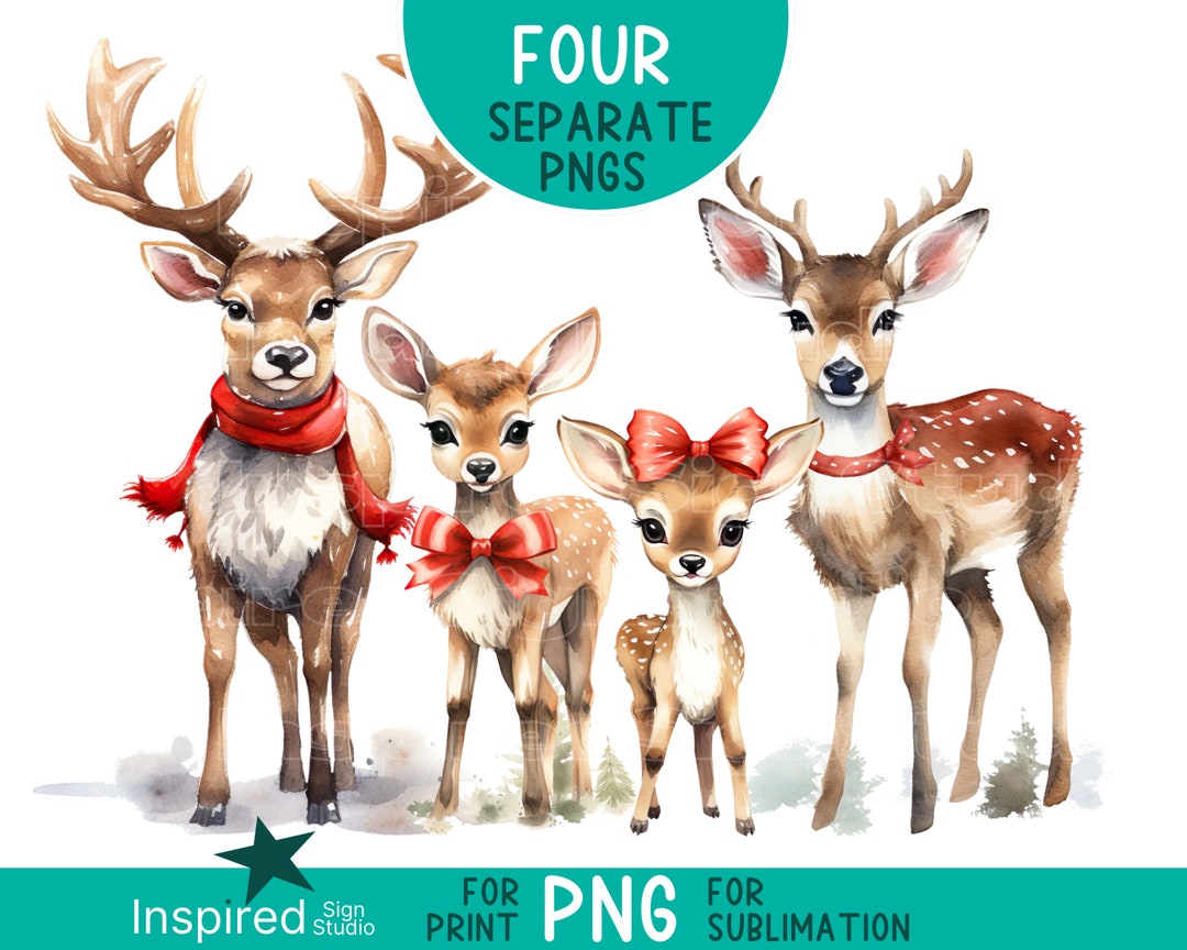 Watercolor Reindeer Family PNG Clipart, Christmas Deer Design (digital ...