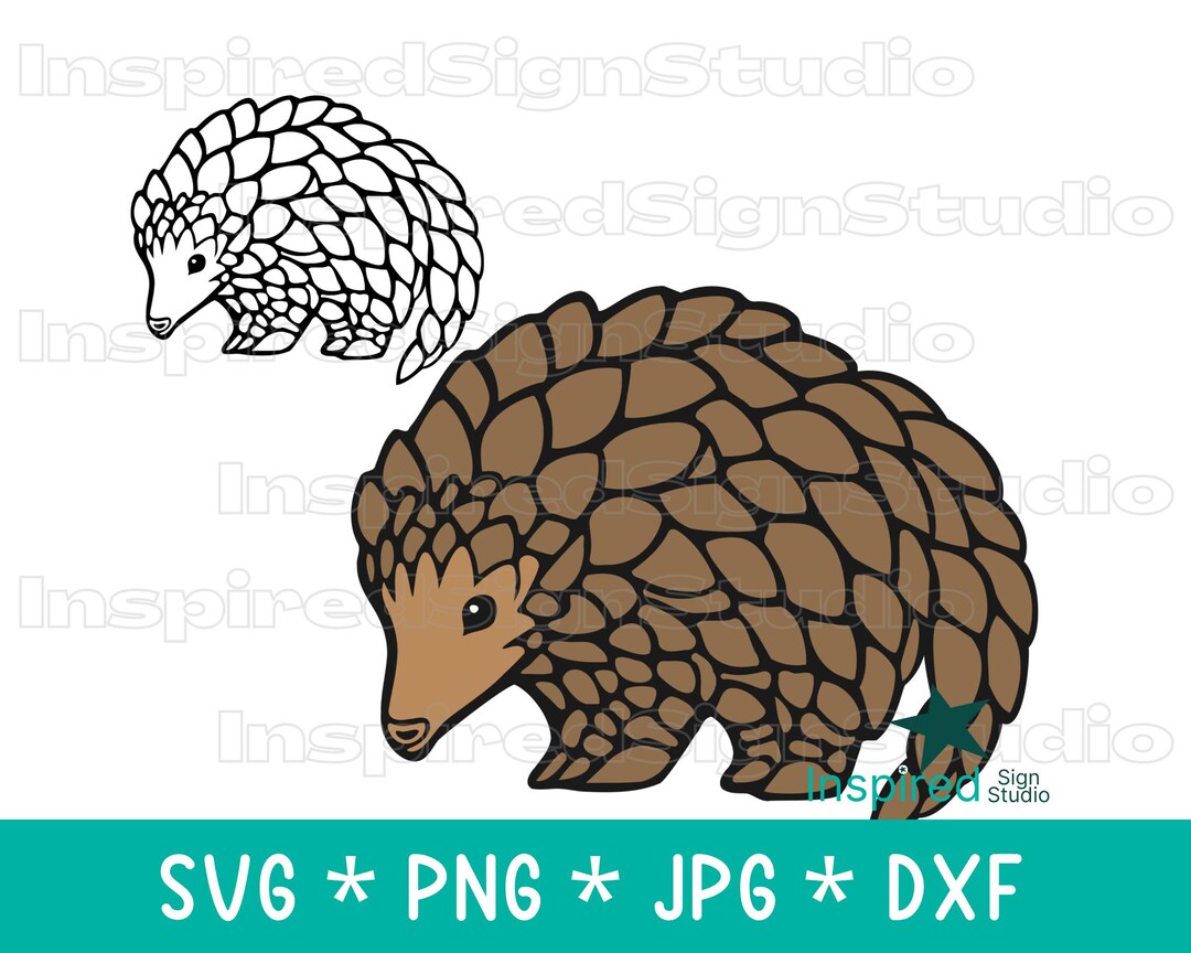 Pangolin SVG, Kids Sublimation Design (digital Download) - Etsy