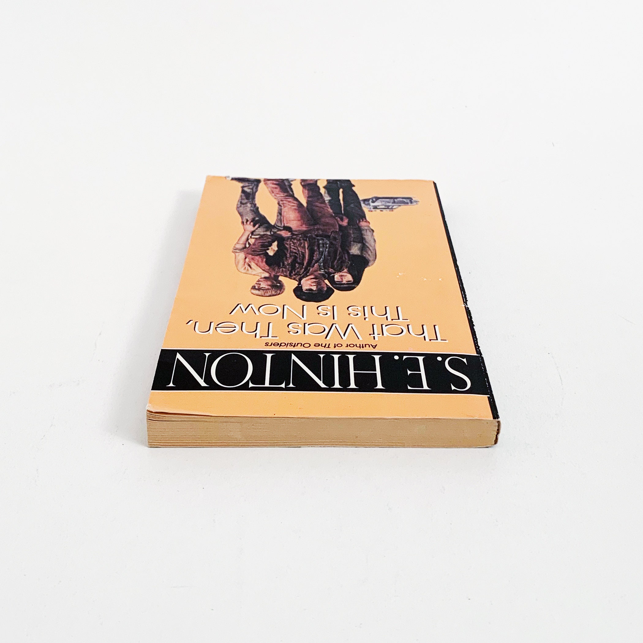 That Was Then This Is Now Book Cover