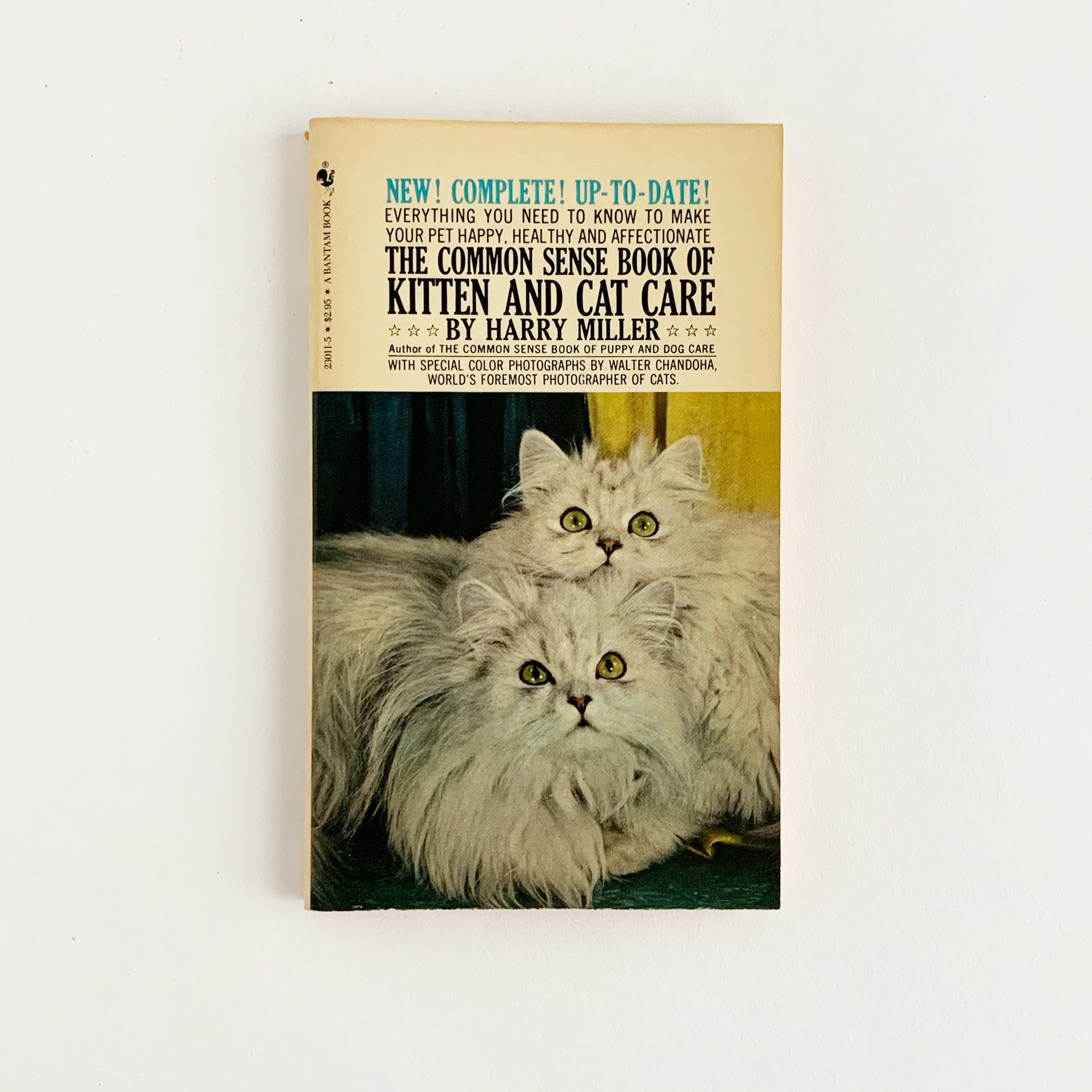 Cat Care Books