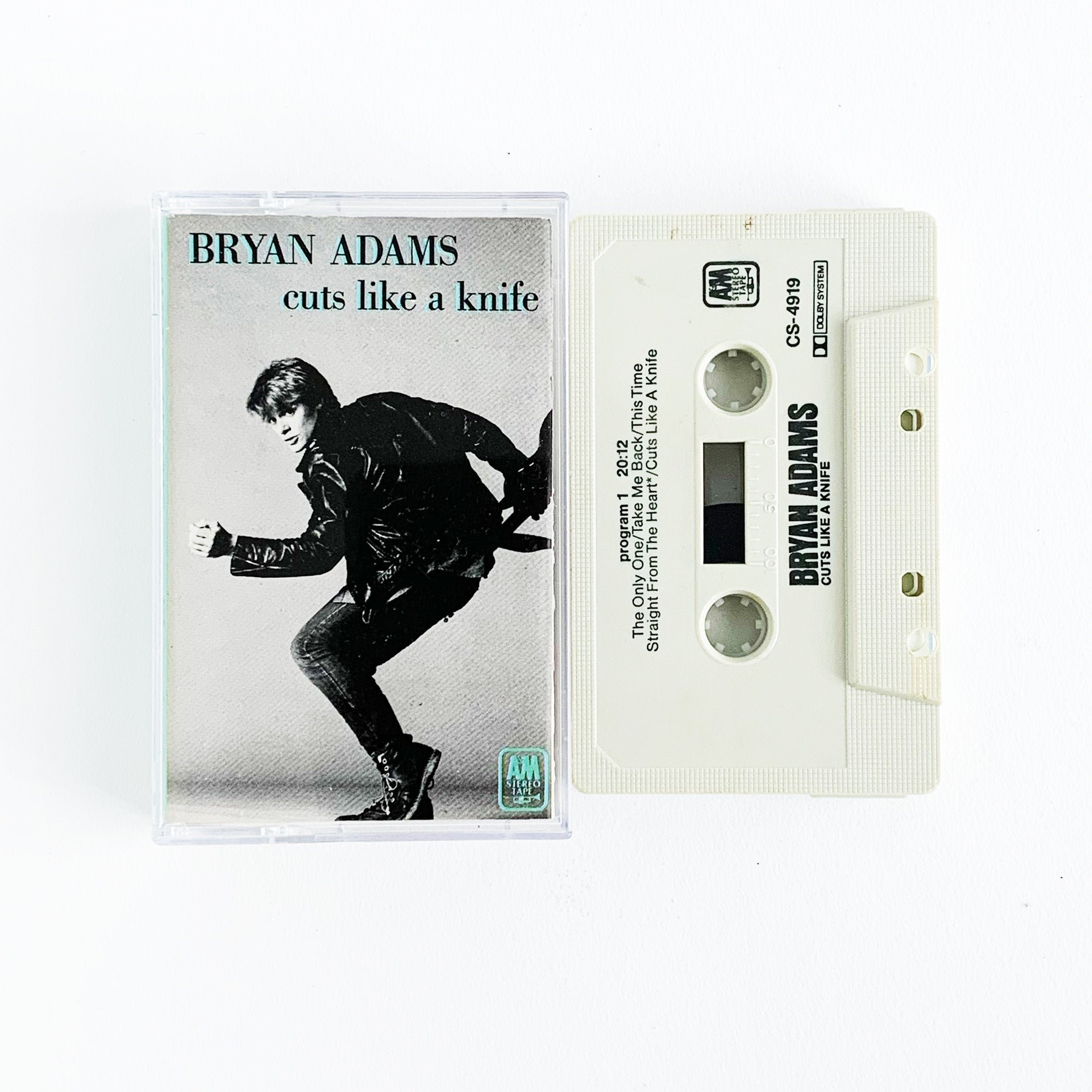 Bryan Adams (Cuts Like A Knife) Album Cover POSTER Lost, 52% OFF