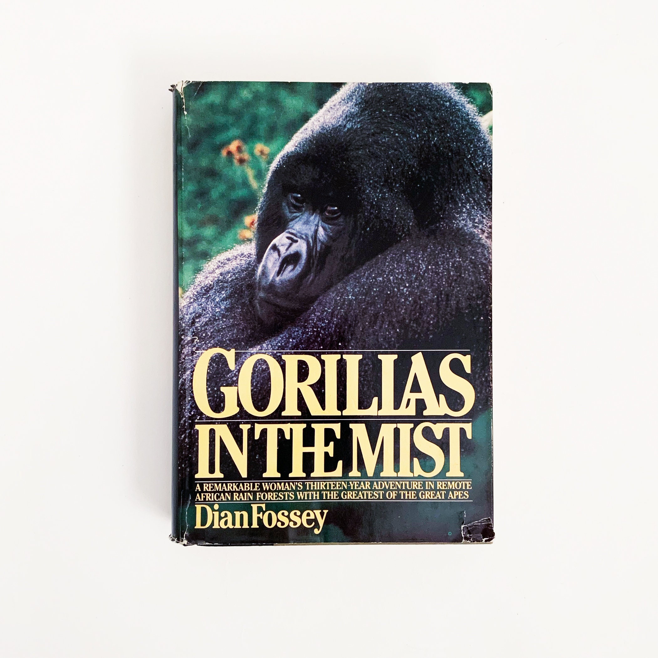 Gorillas In The Mist Movie