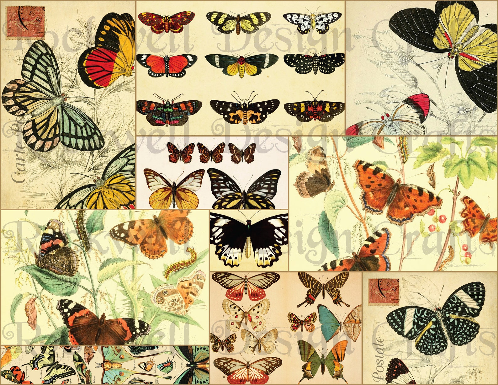 Butterflies and Moths Collage Sheets printables Junk | Etsy
