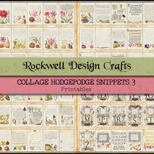 Collage Hodgepodge Snippets printables Junk Journal Pages - Etsy