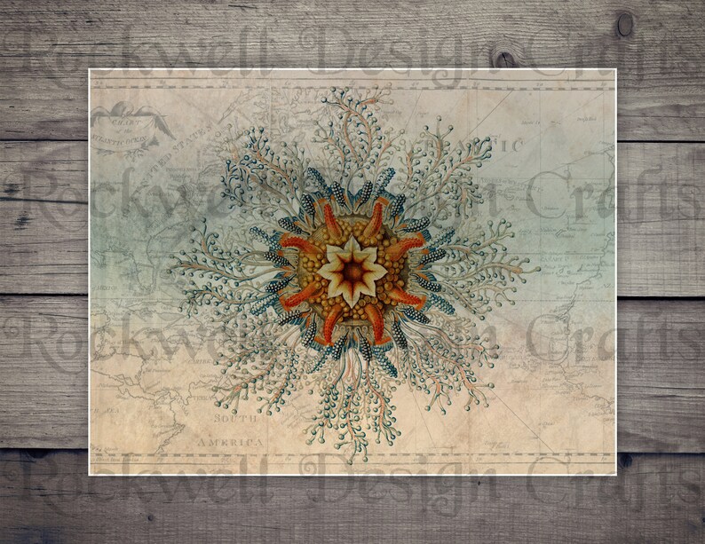 Ocean Wonders Collage Sheets printables, Junk Journal Pages ...