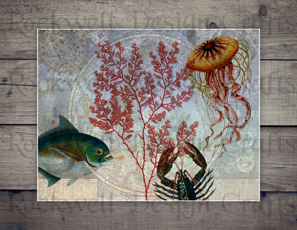 Ocean Wonders Collage Sheets printables, Junk Journal Pages ...