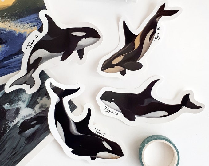Antarctic Orca Stickers - Etsy