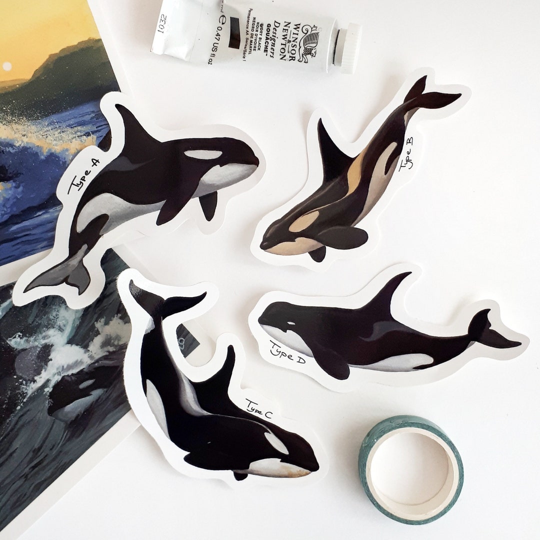 Antarctic Orca Stickers - Etsy