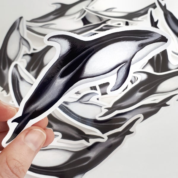 Dolphin Sticker - Etsy