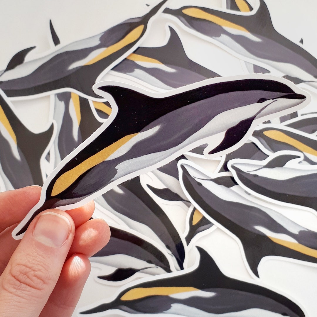 Vinyl Sticker, Atlantic White Sided Dolphin, Sticker, Stationary, - Etsy