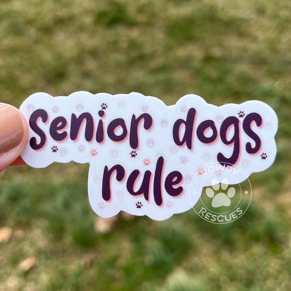 Printable Pet Profile, Pet Bio Print, Dog Biography, Cat Information ...