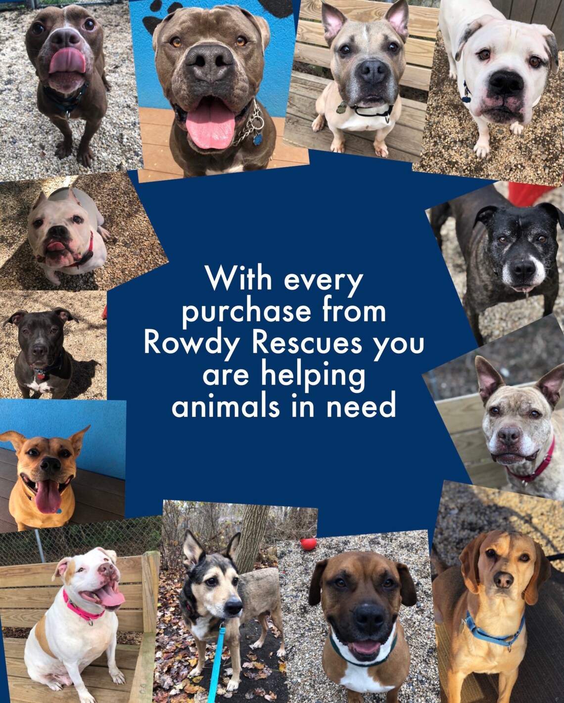 Adopt Foster Rescue Sticker Adopt Foster Rescue Dog Stickers - Etsy