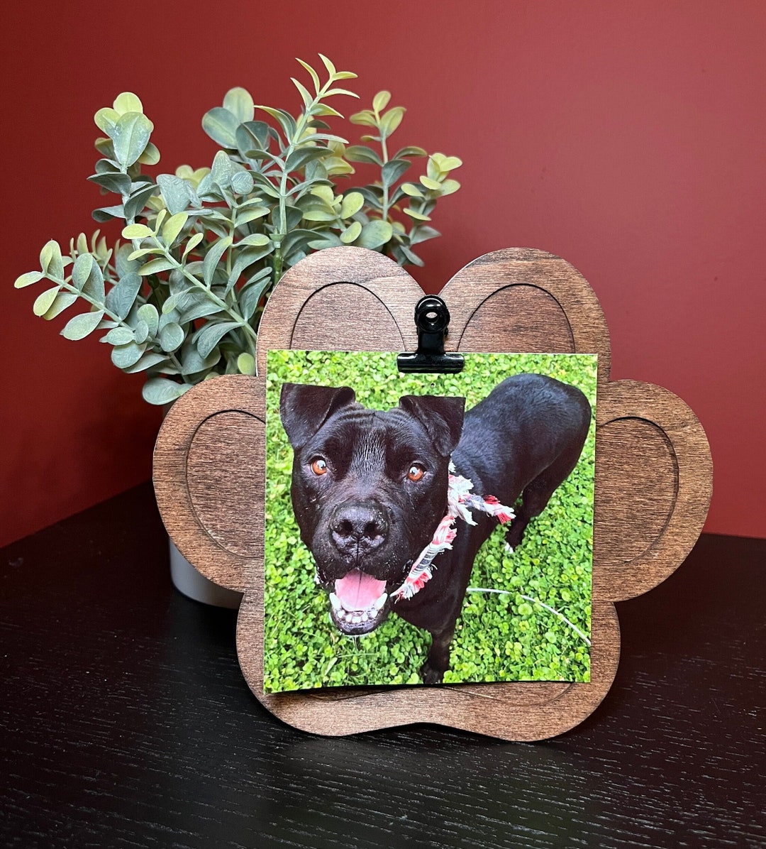 Paw Print Frame, Home Decor, Dog Decor, Paw Print Decor, Framed Signs ...