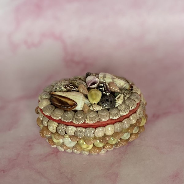 Shell Box - Etsy