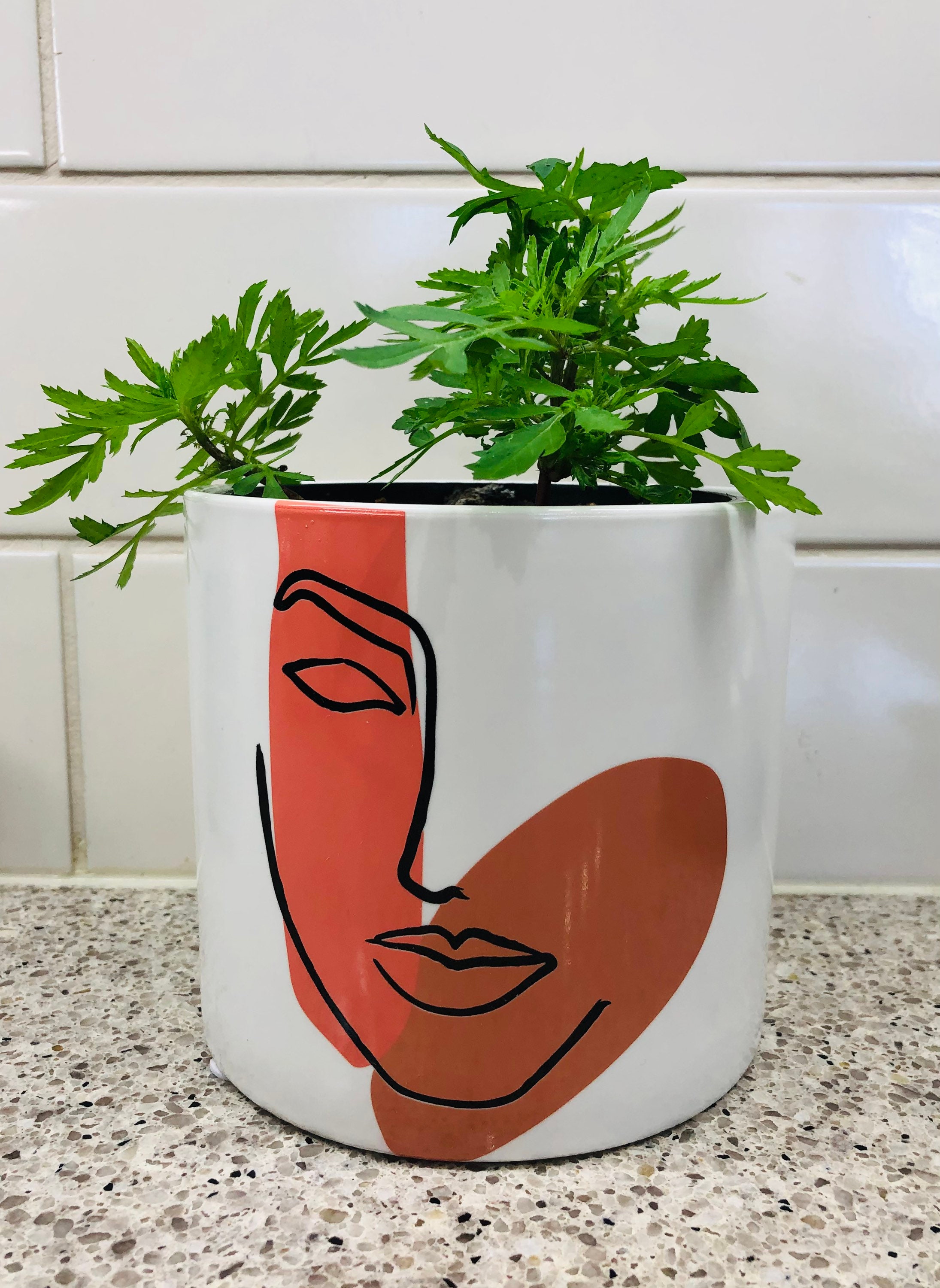 Abstract Face Planter White Floral Planter Indoor and | Etsy