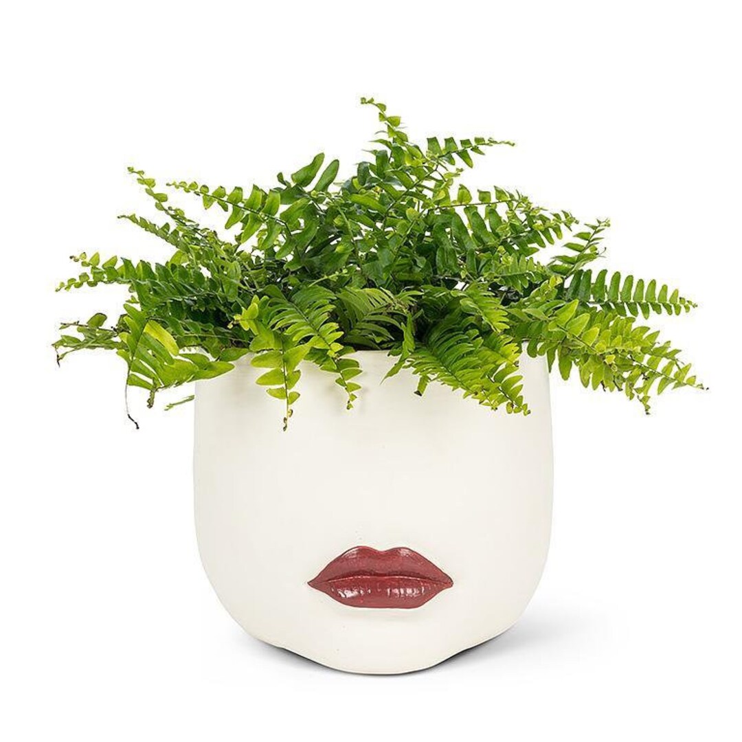 Large Red Lip Planter Succulent and Airplant Planter Face Design ...