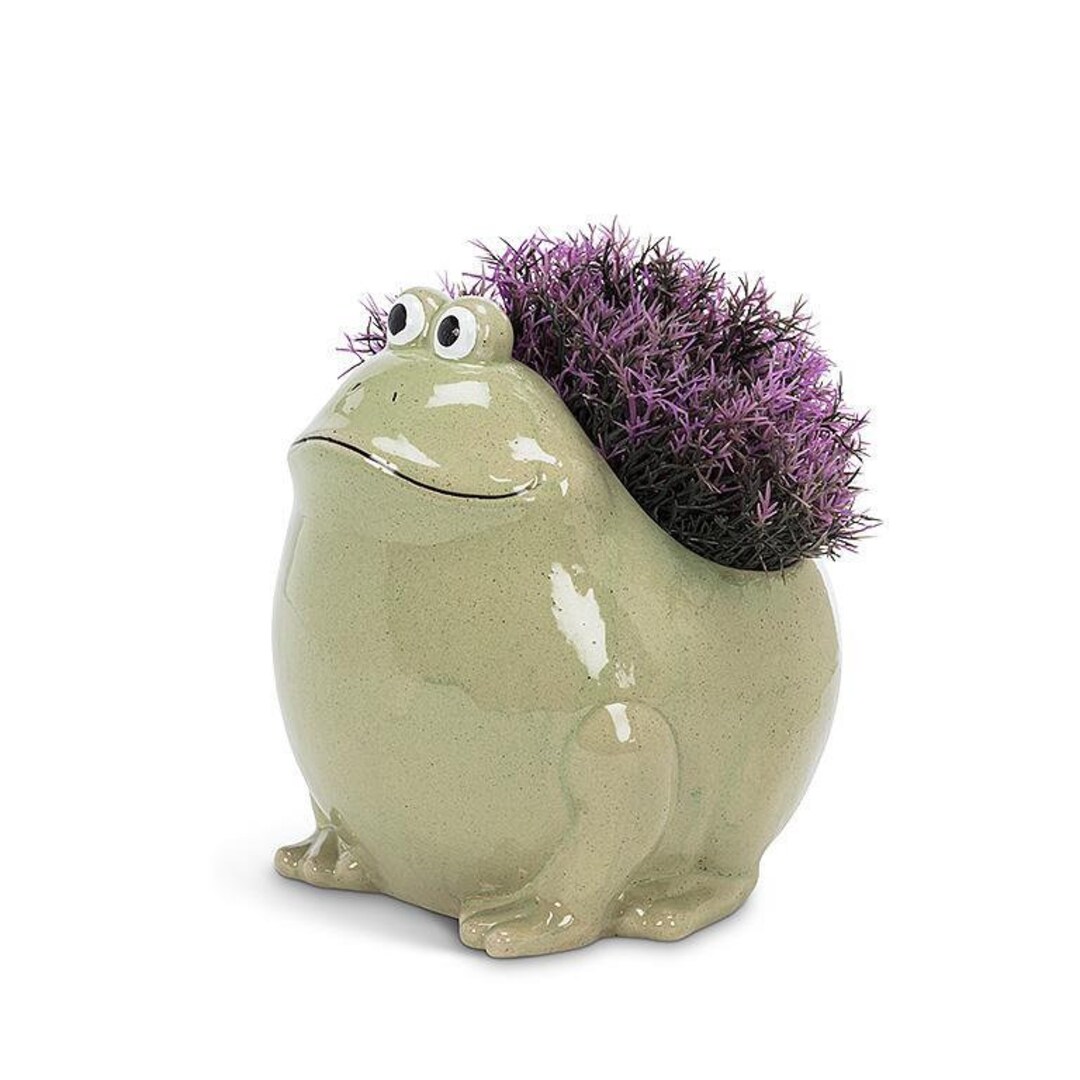 Light Green Frog Animal Succulent and Airplant Planter Animal Design ...