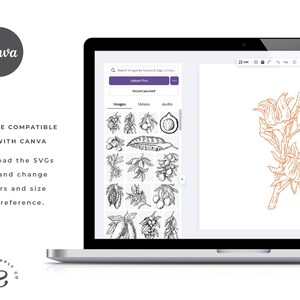 Australian Native Foods, Bush Tucker, SVG Clipart, Illustration, Hand ...