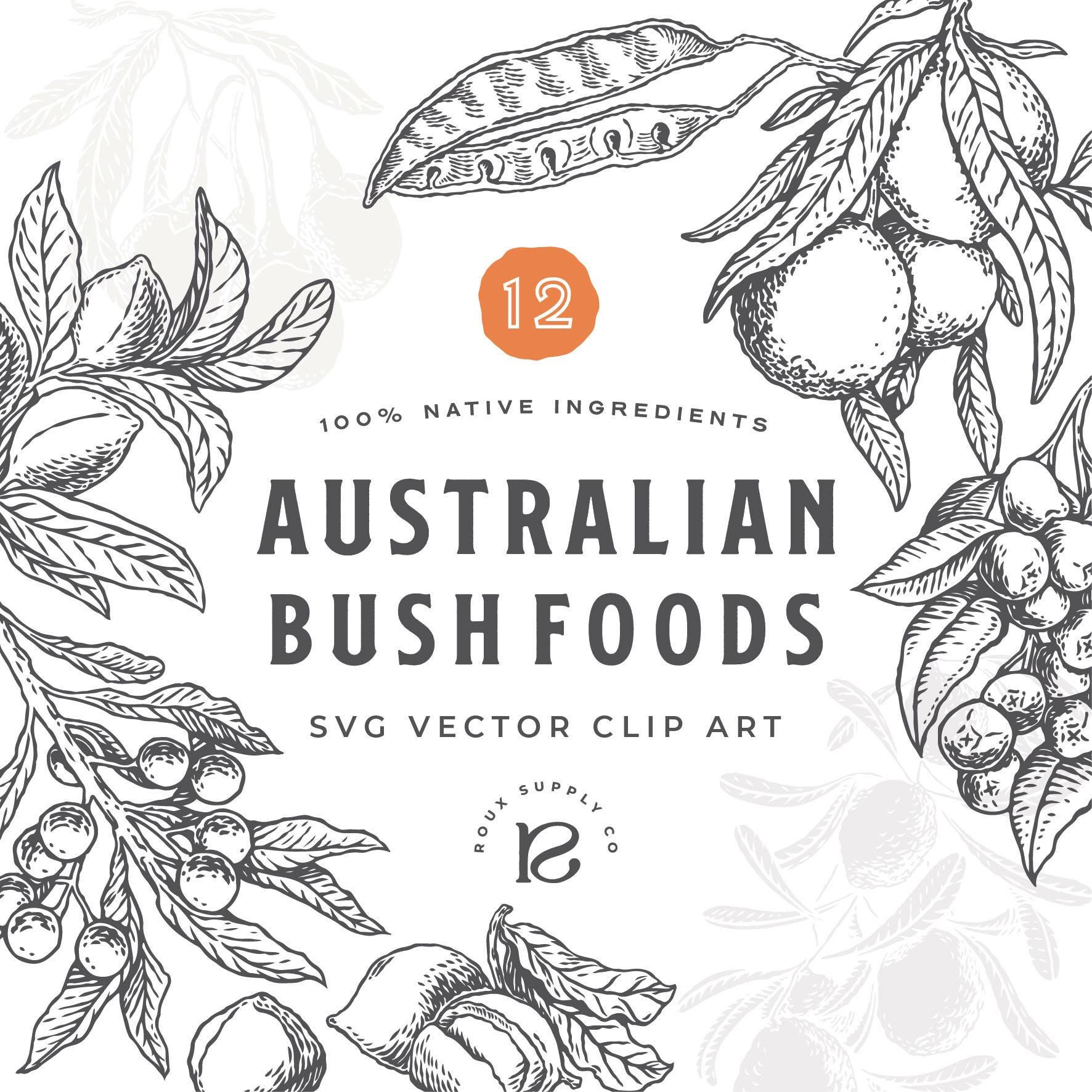 Australian Native Foods, Bush Tucker, SVG Clipart, Illustration, Hand ...
